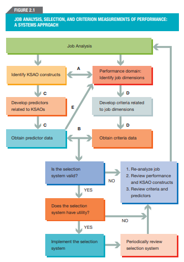 Solved The Recruitment and Selection Process: In most | Chegg.com