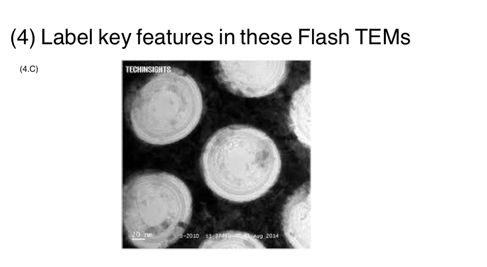 (4) Label key features in these Flash TEMs (4.C) | Chegg.com