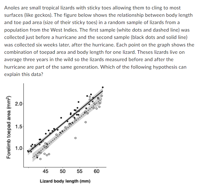 Solved Anoles are small tropical lizards with sticky toes | Chegg.com