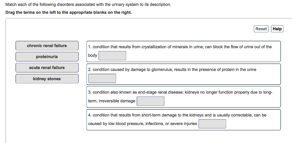 Solved Match each of the following disorders associated with | Chegg.com