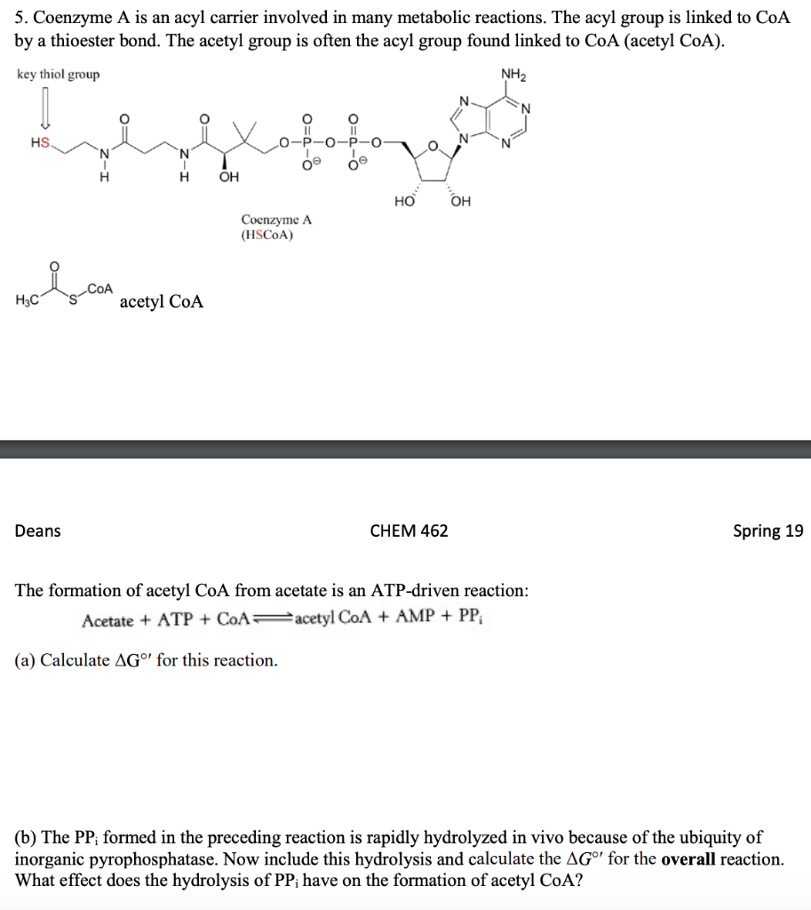 5. Coenzyme A is an acyl carrier involved in many | Chegg.com