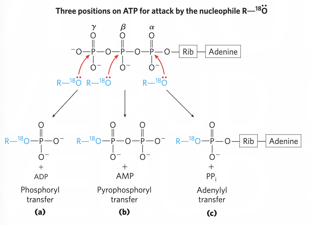 Solved 5. Go to Figure 13-20. Read the accompanying text and | Chegg.com