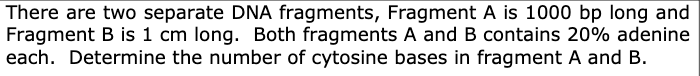 Solved There are two separate DNA fragments, Fragment A is | Chegg.com