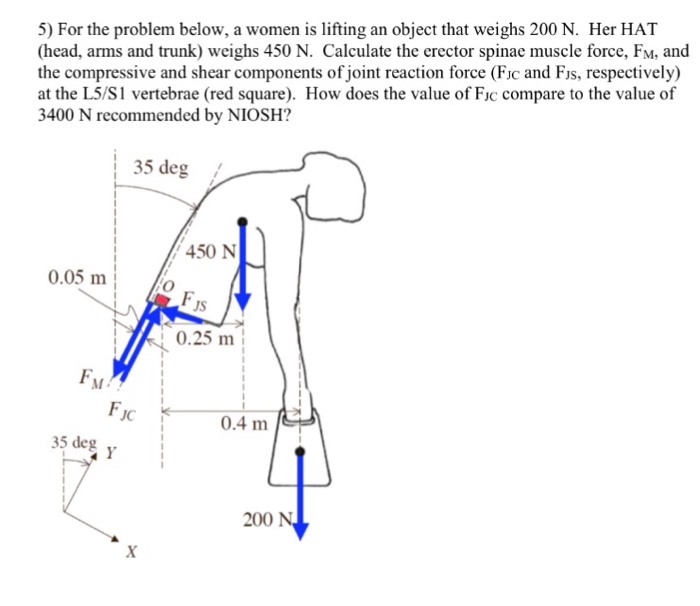 Solved For the problem below, a woman is lifting an object | Chegg.com