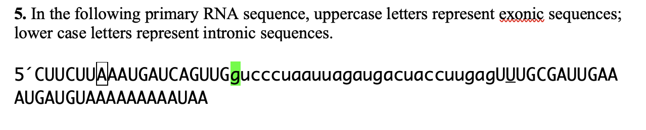 Solved 5. In the following primary RNA sequence, uppercase | Chegg.com