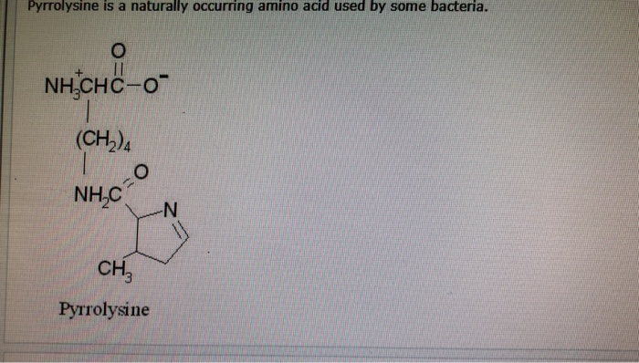 Solved Pyrrolysine is a naturally occurring amino acid used | Chegg.com