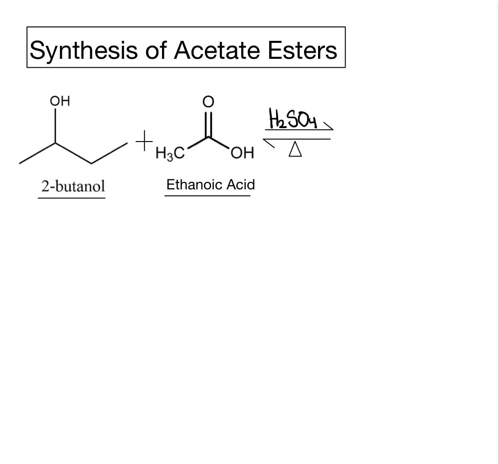 Solved Synthesis of Acetate Esters 2-butanol Ethanoic Acid | Chegg.com Solved Synthesis of Acetate Esters 2-butanol Ethanoic Acid | Chegg.com