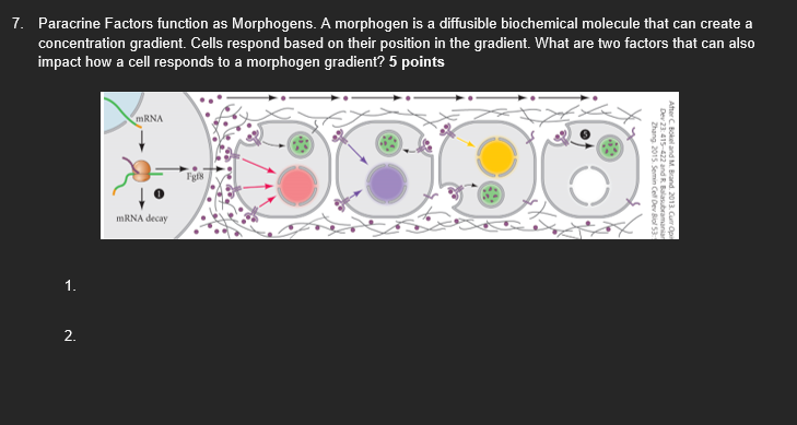 Solved Paracrine Factors function as Morphogens. A morphogen | Chegg.com