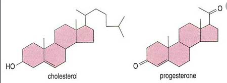 Solved can someone show and explain the FULL mechanism of | Chegg.com