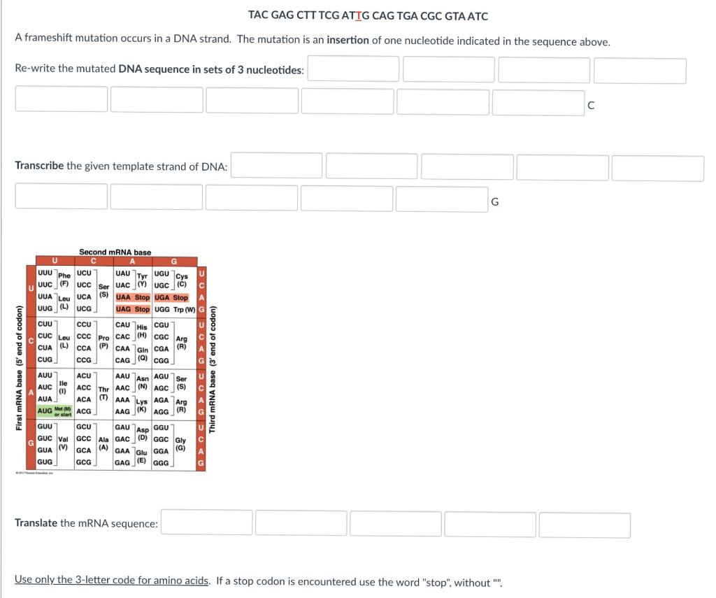 Solved TAC GAG CTT TCG ATTG CAG TGA CGC GTA ATC A frameshift | Chegg.com