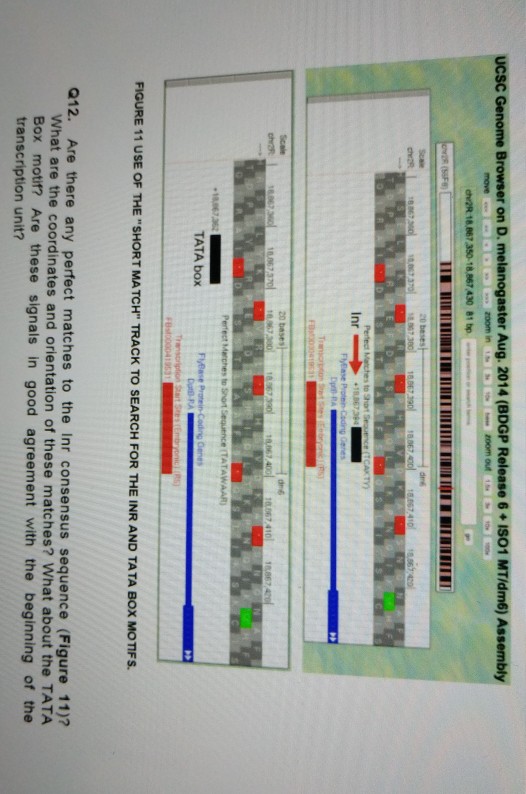 Solved 20 18 867 34 20 TATA box RGURE 11 USE OF THE "SHORT | Chegg.com