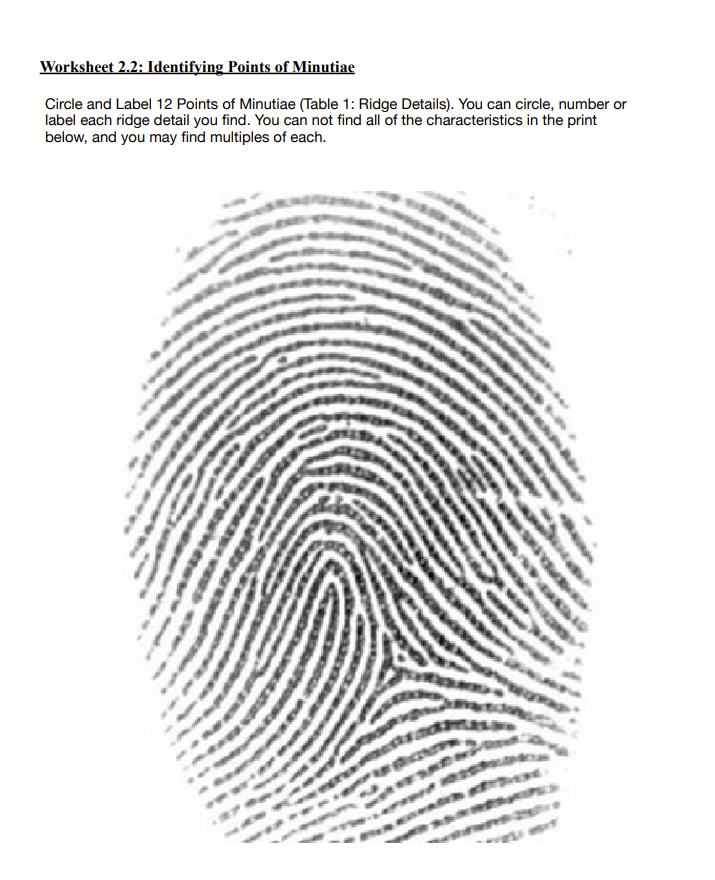 Crime Scene Search Patterns Worksheet