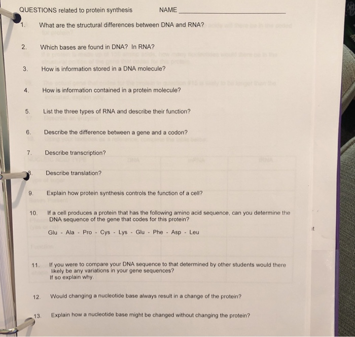 Solved QUESTIONS related to protein synthesis NAME 1. What | Chegg.com