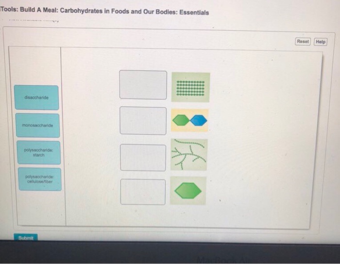 Solved Tools: Build A Meal: Carbohydrates in Foods and Our | Chegg.com