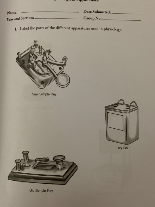 Solved PPal abus Date Submitted:_ Name: Year and Section: | Chegg.com