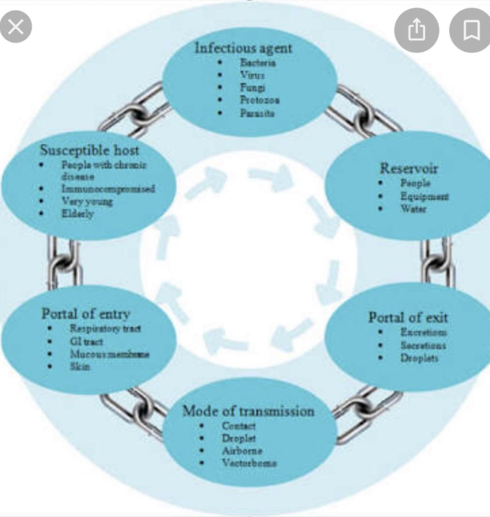 Solved The chain of infection explains how infection is | Chegg.com