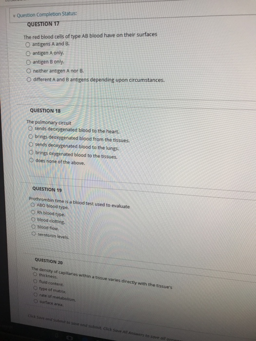 Solved Question Completion Status: QUESTION 17 The red blood | Chegg.com