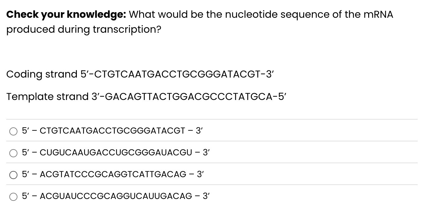 Solved Check your knowledge: What would be the nucleotide | Chegg.com