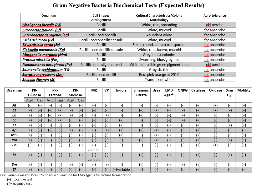 Solved It is required to use the Gram Negative and Gram | Chegg.com