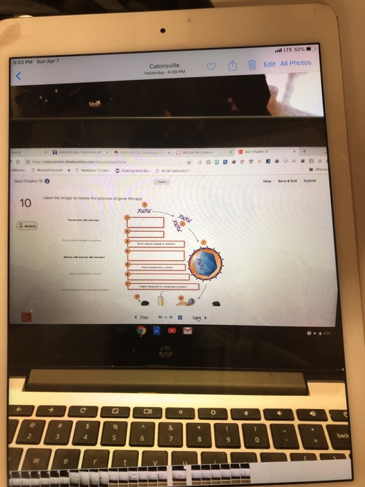 label this image to test your understanding of the | Chegg.com