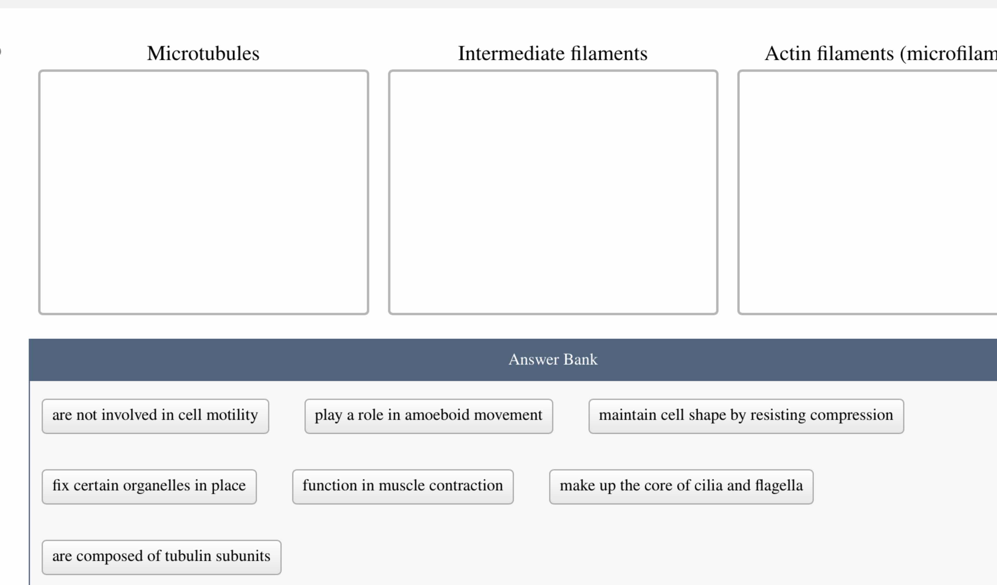 Solved MicrotubulesIntermediate filamentsActin filaments | Chegg.com