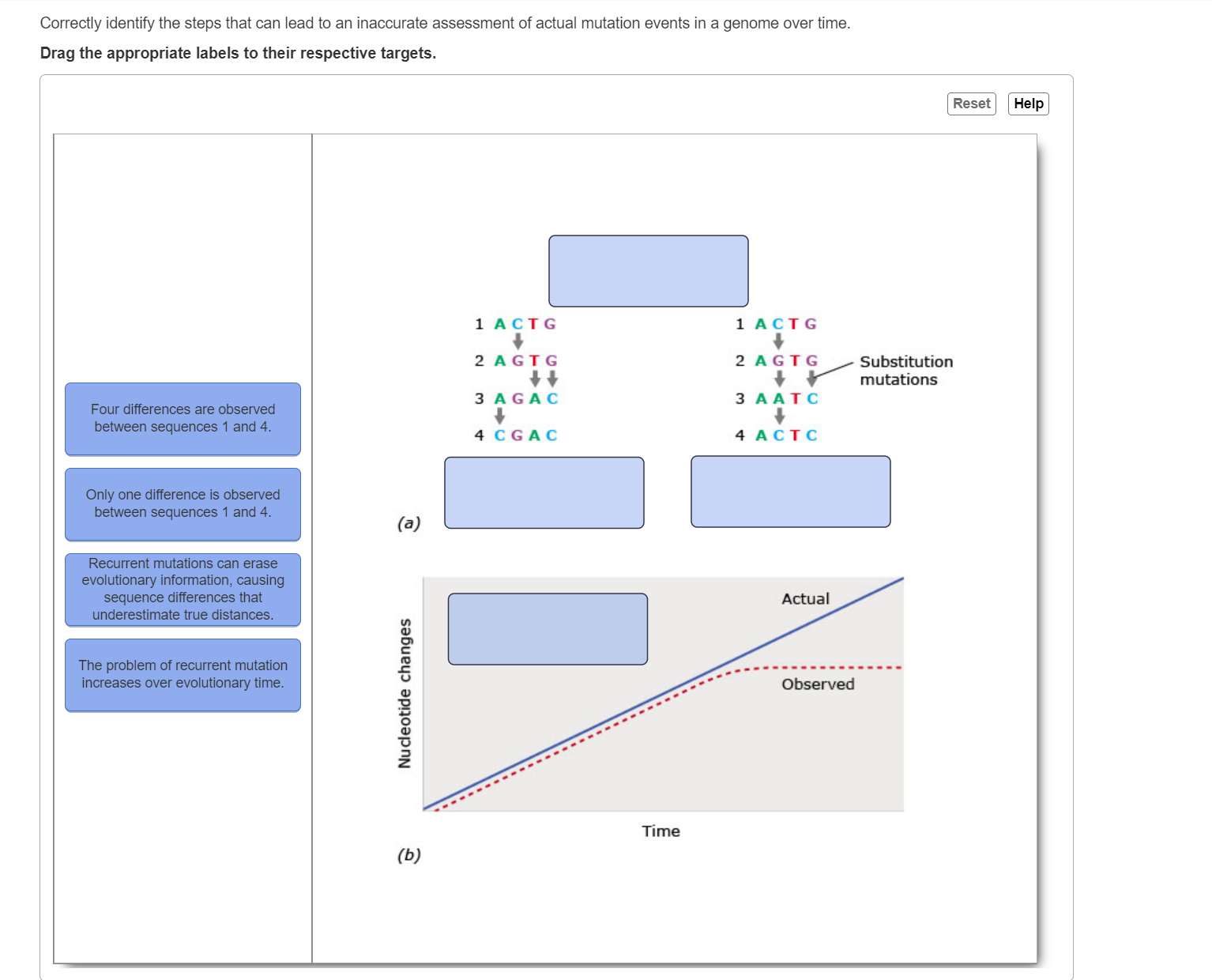 Solved Correctly identify the steps that can lead to an | Chegg.com