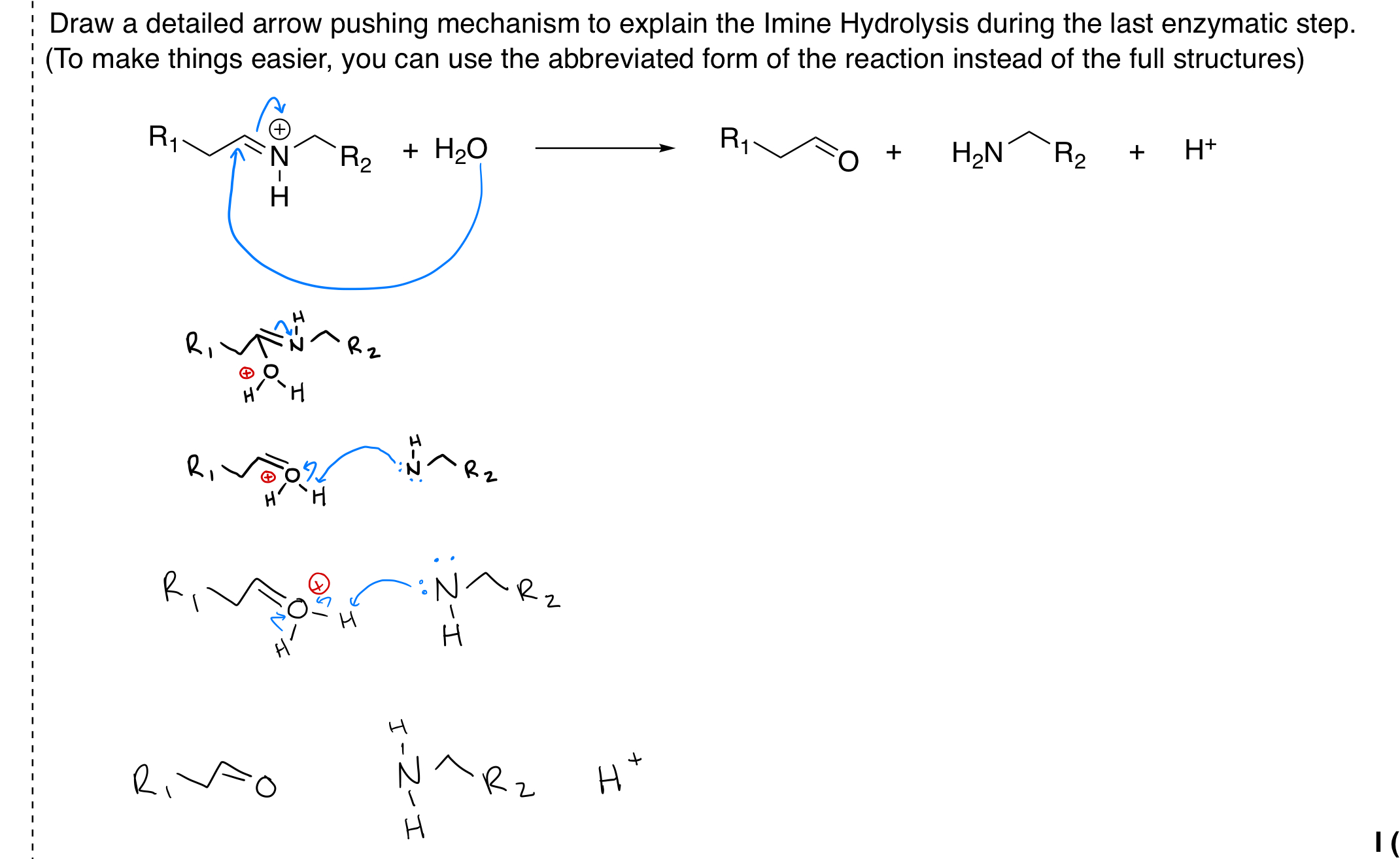 Solved Draw a detailed arrow pushing mechanism to explain | Chegg.com