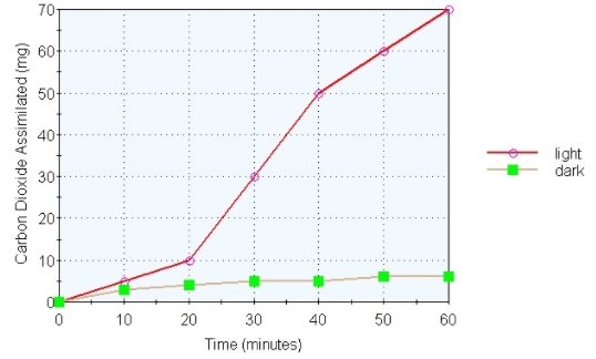 Solved A biology student performed an experiment. The graph | Chegg.com