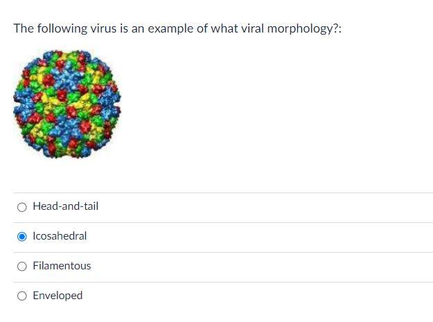 Solved The following virus is an example of what viral | Chegg.com
