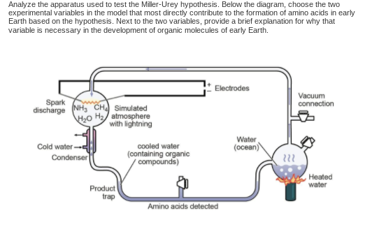 Solved Analyze the apparatus used to test the Miller-Urey | Chegg.com