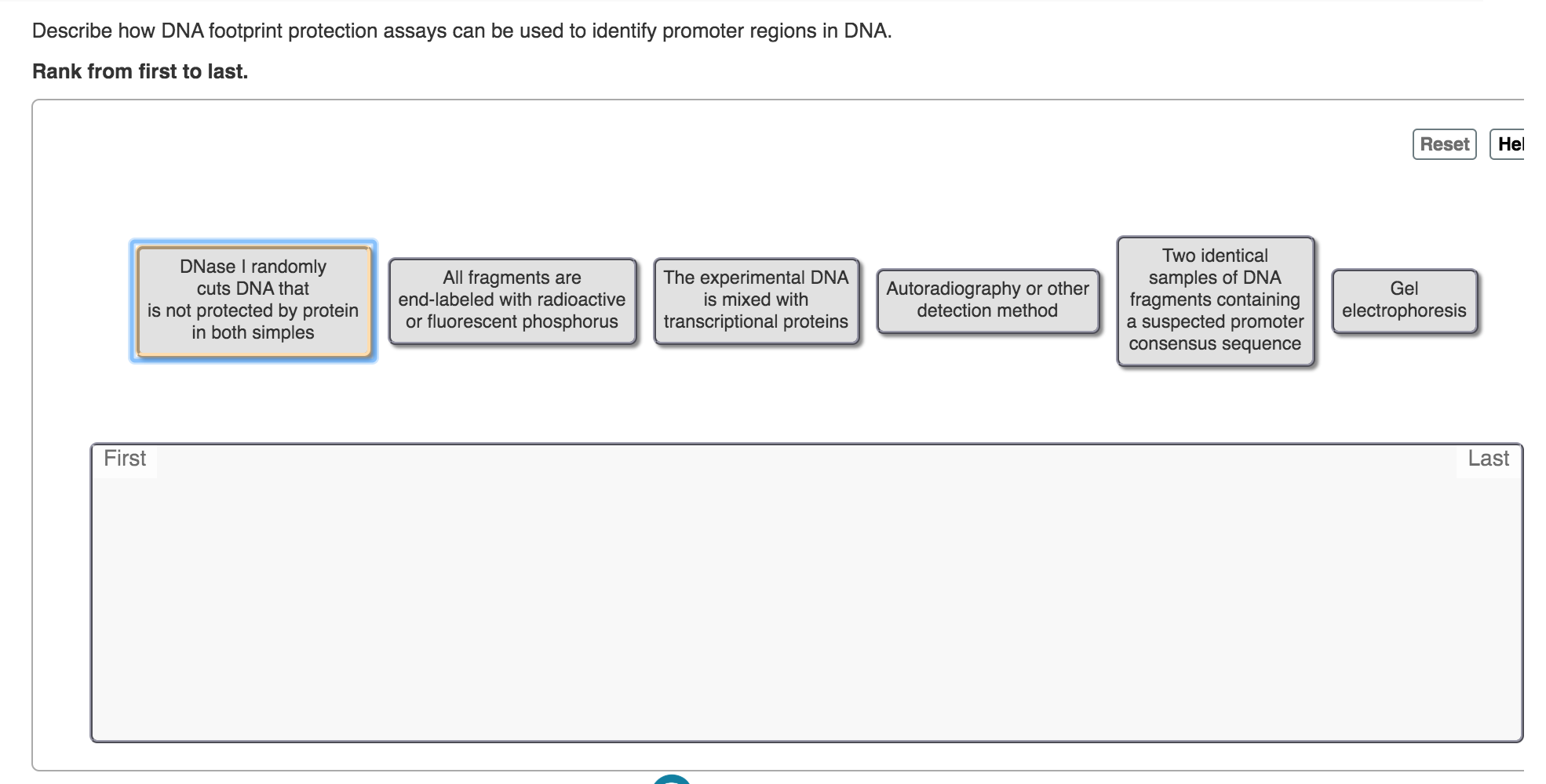 Solved Describe how DNA footprint protection assays can be | Chegg.com Solved Describe how DNA footprint protection assays can be | Chegg.com