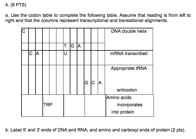 Solved 4. (8 PTS) a. Use the codon table to complete the | Chegg.com