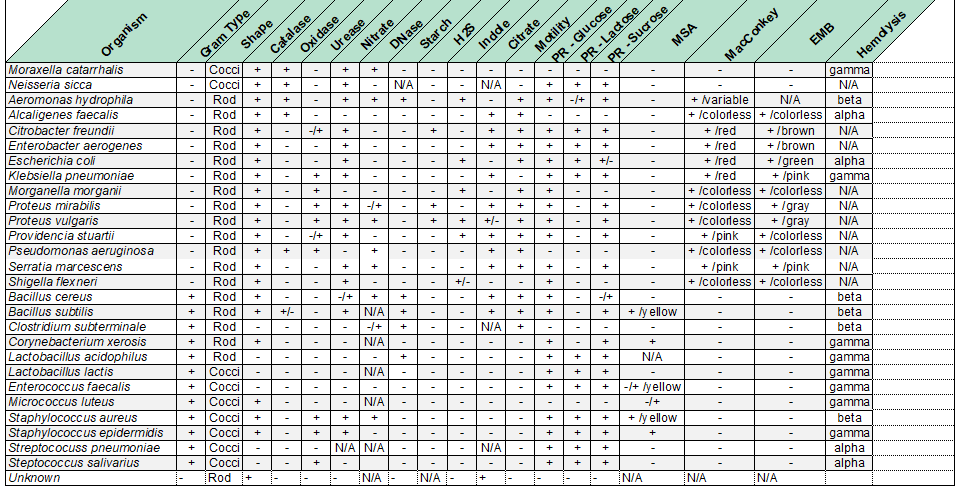 Solved Please identify the unknown bacteria sample at the | Chegg.com