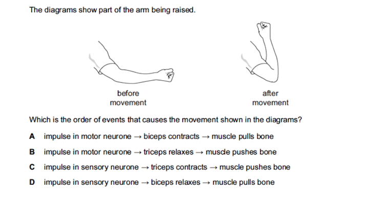 Solved The diagrams show part of the arm being raised. | Chegg.com