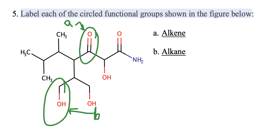 Solved Label each of the circled functional groups shown in | Chegg.com