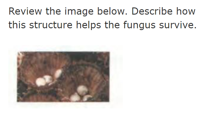 Solved Review the image below. Describe howthis structure | Chegg.com