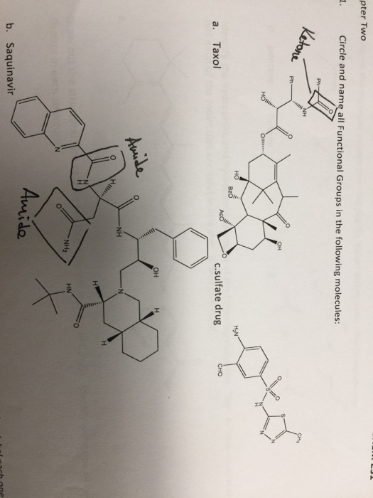 Solved Circle and name all Functional Groups in the | Chegg.com