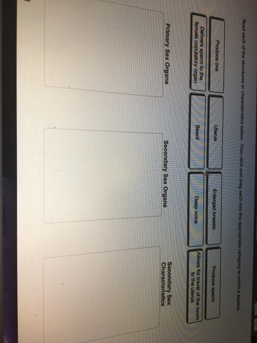 Solved Read each of the structures are characteristics below | Chegg.com