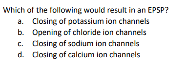 Solved Which of the following would result in an EPSP? a. | Chegg.com
