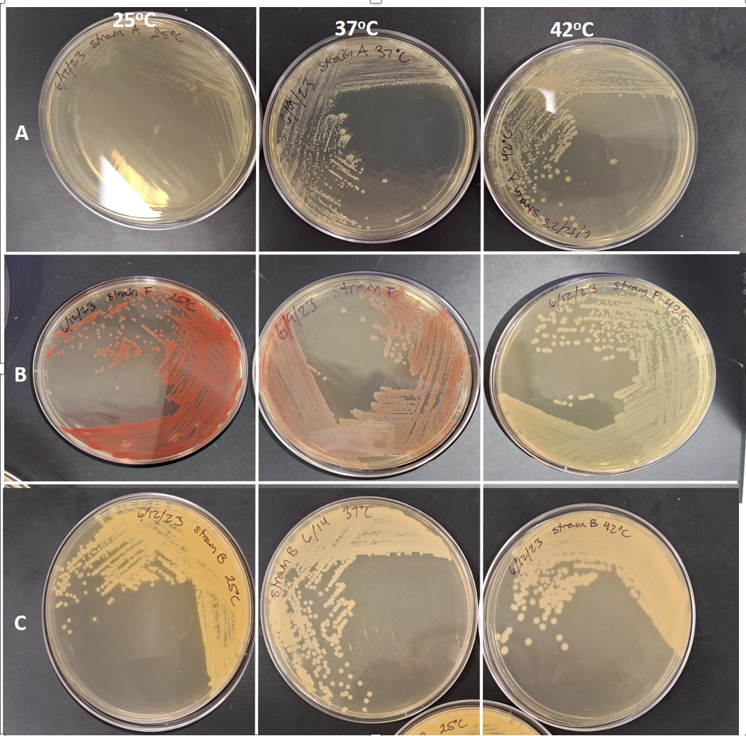 Solved In this experiment, 6 different organisms (A -F) were | Chegg.com