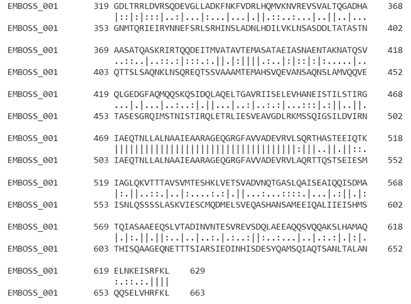 9. Take a look at the global alignment and local | Chegg.com