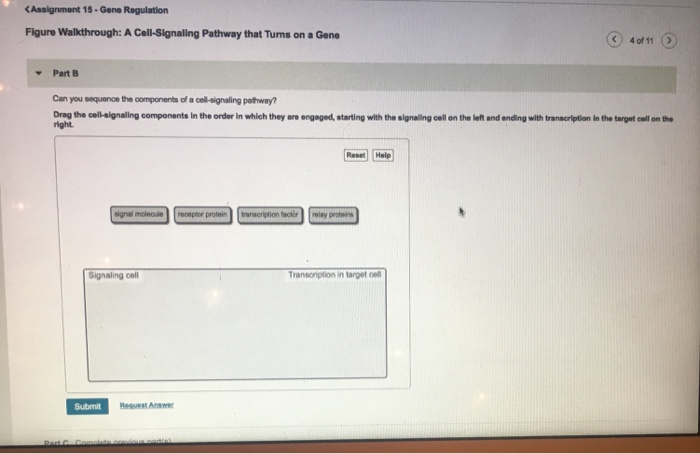 Solved Figure Walkthrough: A Cell-Signaling Pathway that | Chegg.com