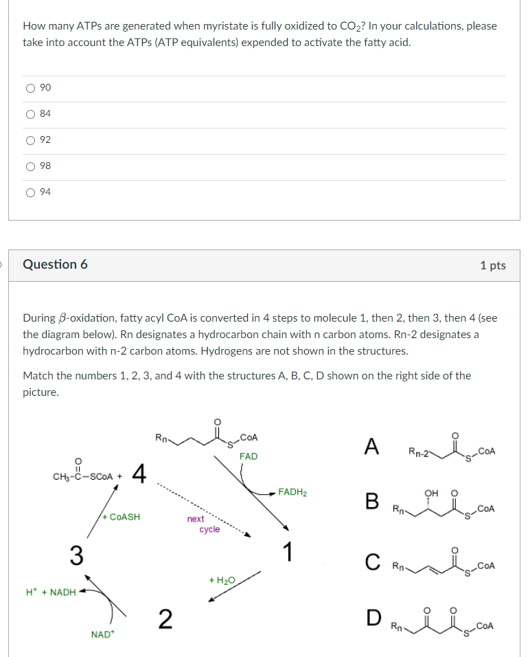 Solved How many ATPs are generated when myristate is fully | Chegg.com