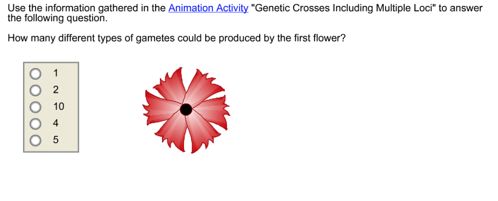 Solved Use the information gathered in the Animation | Chegg.com