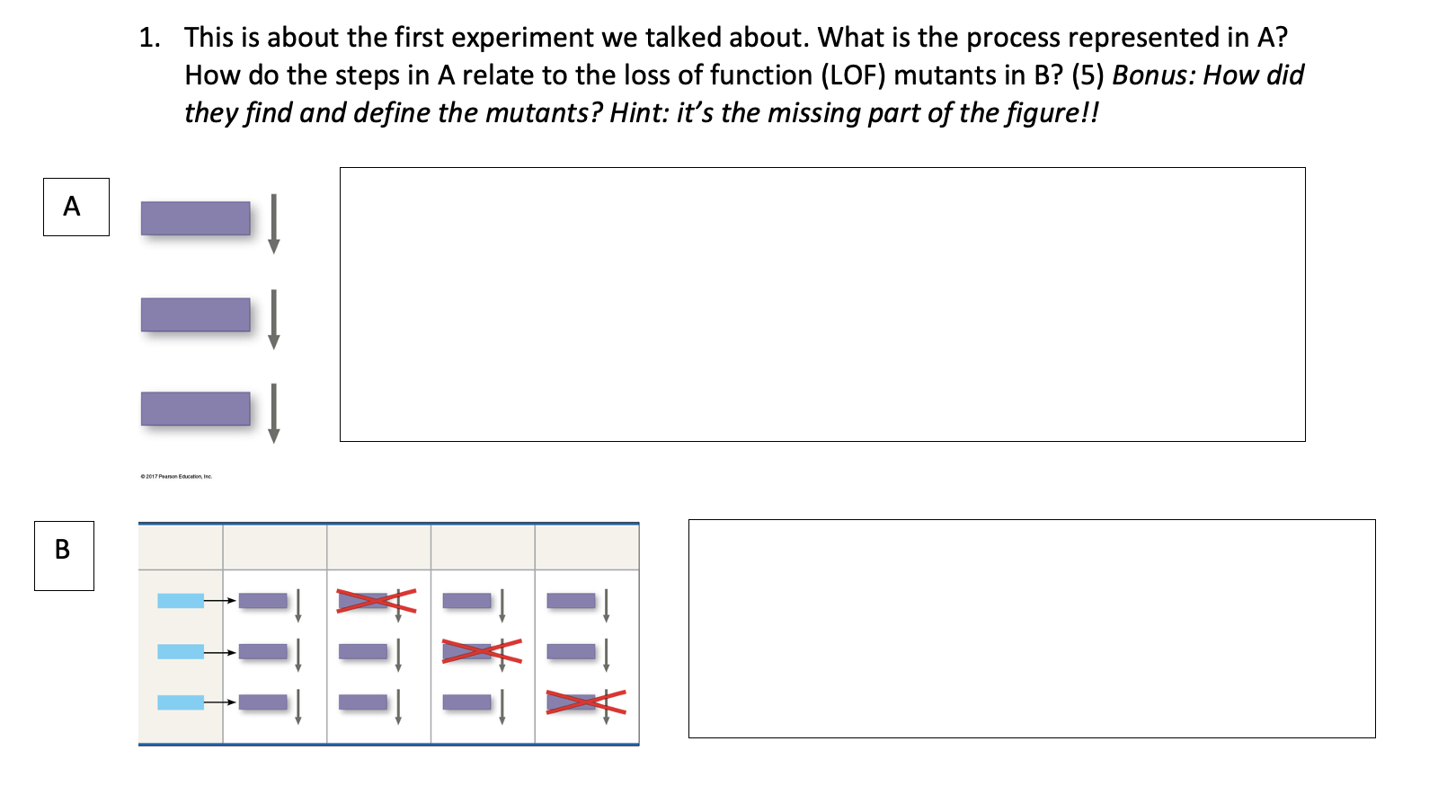 Solved 1. This is about the first experiment we talked | Chegg.com
