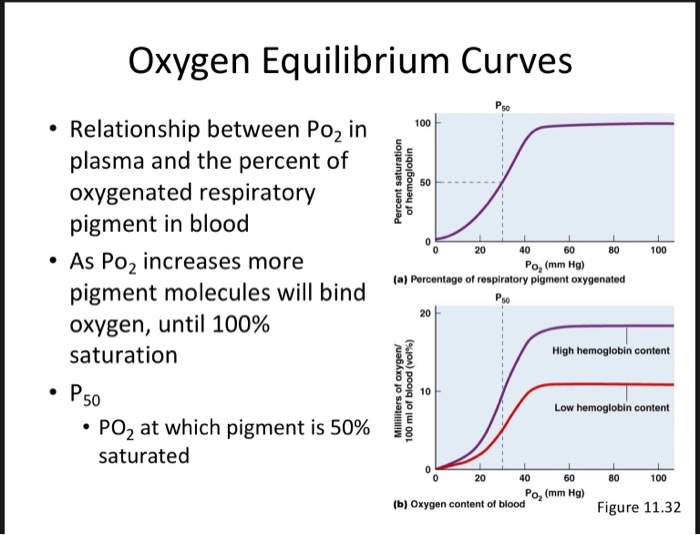 Please help with question only if you are an expert. | Chegg.com