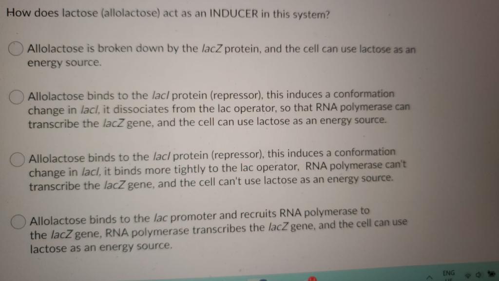Solved How does lactose (allolactose) act as an INDUCER in | Chegg.com