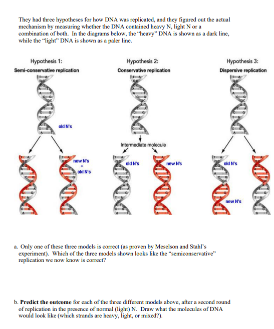 Solved Don't understand these questions it's confusing not | Chegg.com