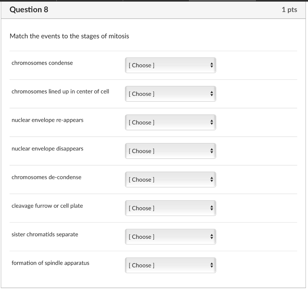 Solved Match the events to the stages of mitosis chromosomes | Chegg.com