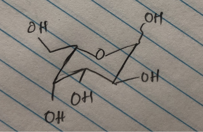 which is (are) correct to describe the structure? a. | Chegg.com